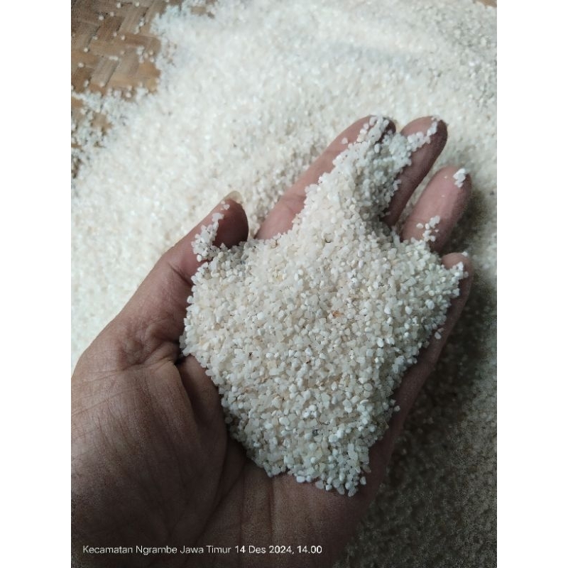 Jual MENIR. beras menir Halus Grade C, untuk pakan Ternak | Shopee ...