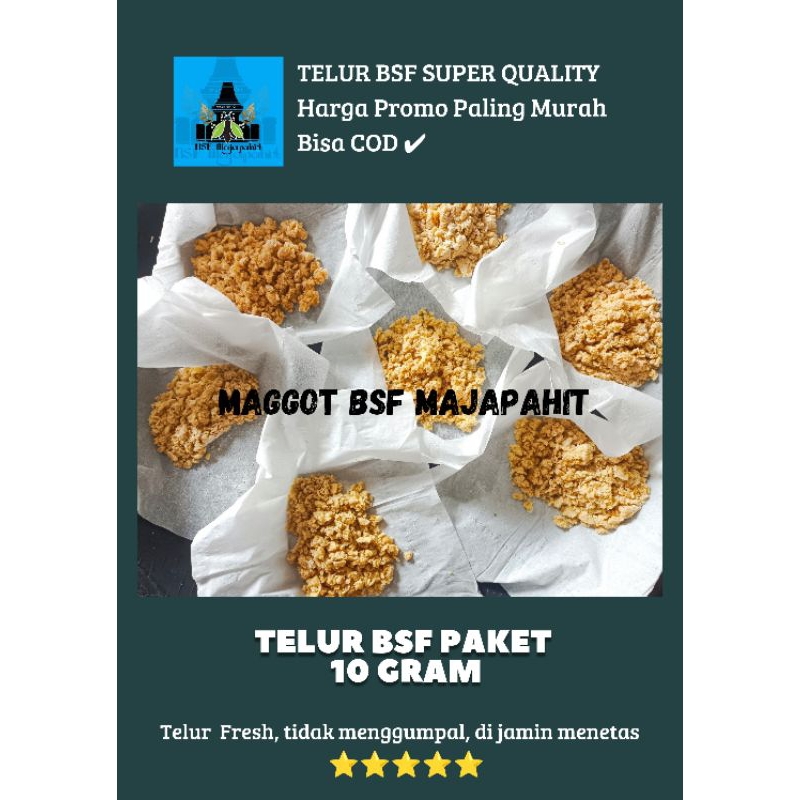 Jual TELUR BSF PREMIUM QUALITY PAKET 10 GRAM | Shopee Indonesia