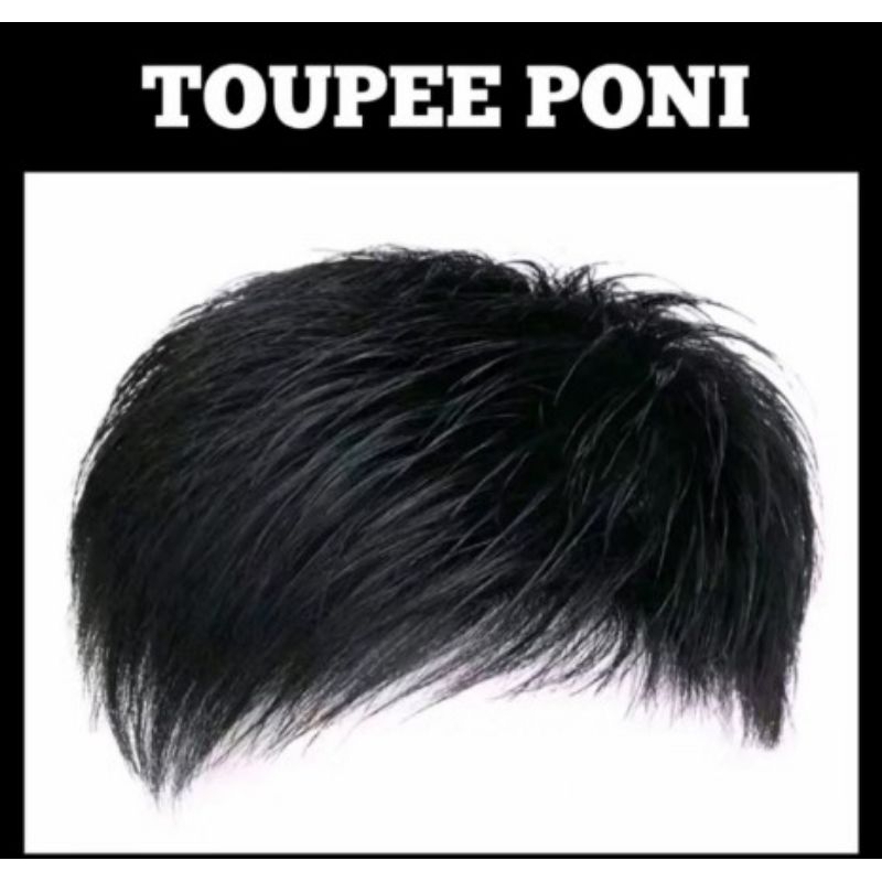 Jual WIG TOUPEE PRIA PENDEK/WIG PENUTUP BOTAK PRIA | Shopee Indonesia