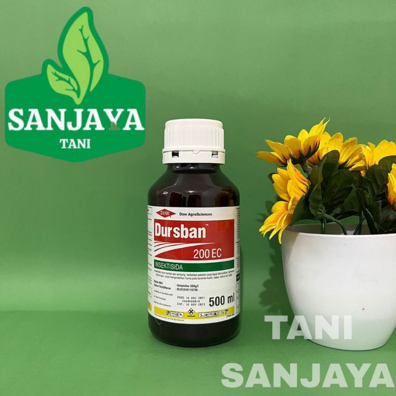 Jual Dursban 200EC 500 ml Insektisida Pembasmi Hama | Shopee Indonesia