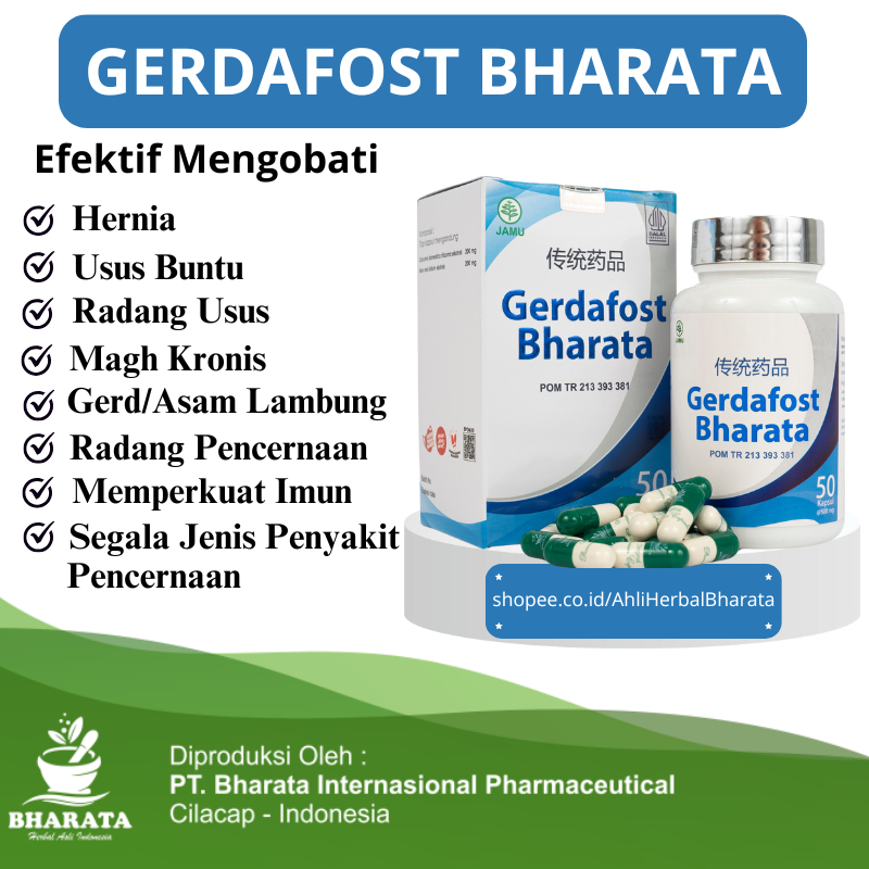 Jual Obat Usus Buntu Ampuh Original | Obat Radang Usus Lambung Magh ...