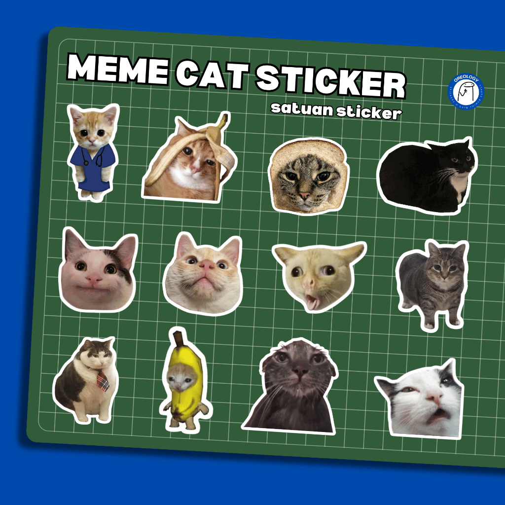 Jual [SATUAN] Sticker meme cat/kucing Viral Stiker vinyl glossy ...