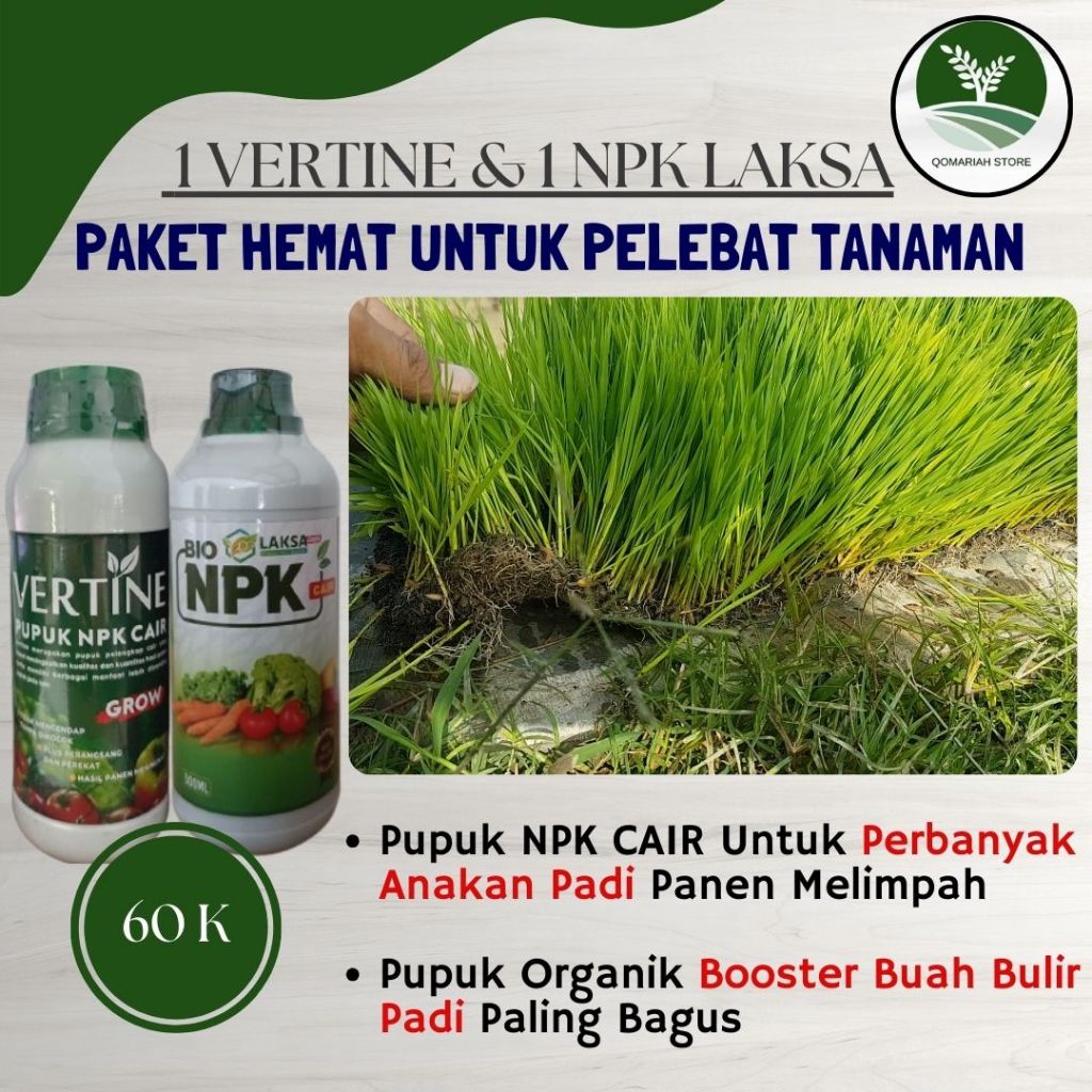 Jual Pupuk Pertumbuhan Anakan Padi Dengan Cepat REKOMENDED - PAKET VERTINE + NPK LAKSA - Obat ...