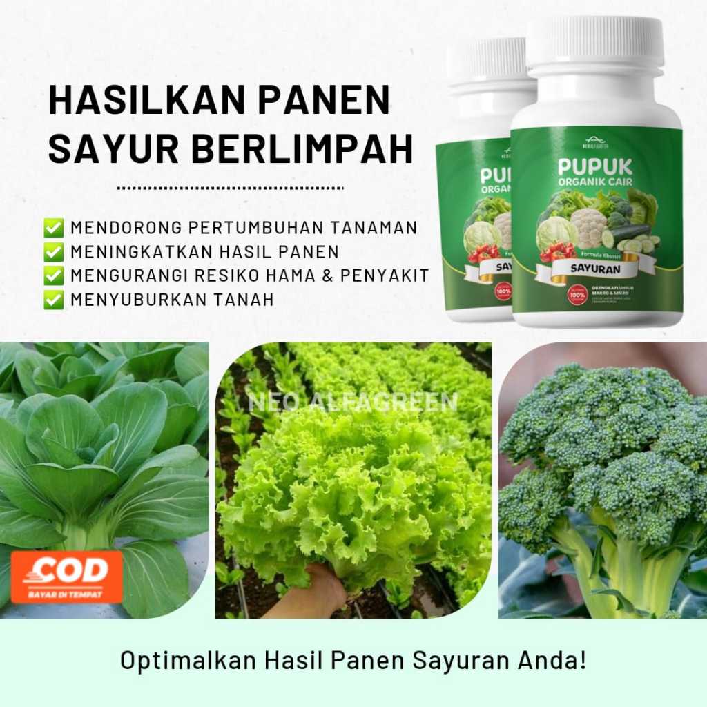 Jual Pupuk Neoalfagreen Sayur Organik, Menghindarkan Hama & Penyakit ...