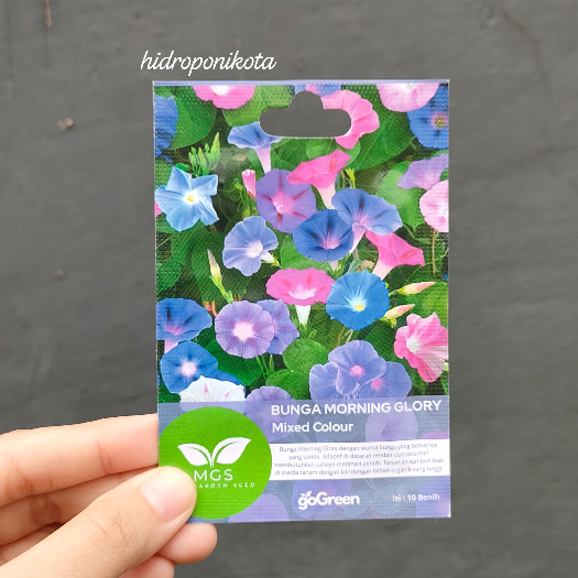 Jual MGS - Bunga Morning Glory isi 10 biji - Mix Garden Seed | Shopee ...