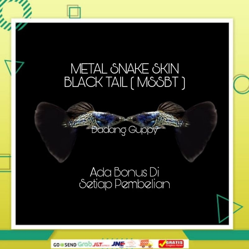 Jual Hiasan Aquascep ( M€tal Snake Skin B|ack Tai| ) | Shopee Indonesia