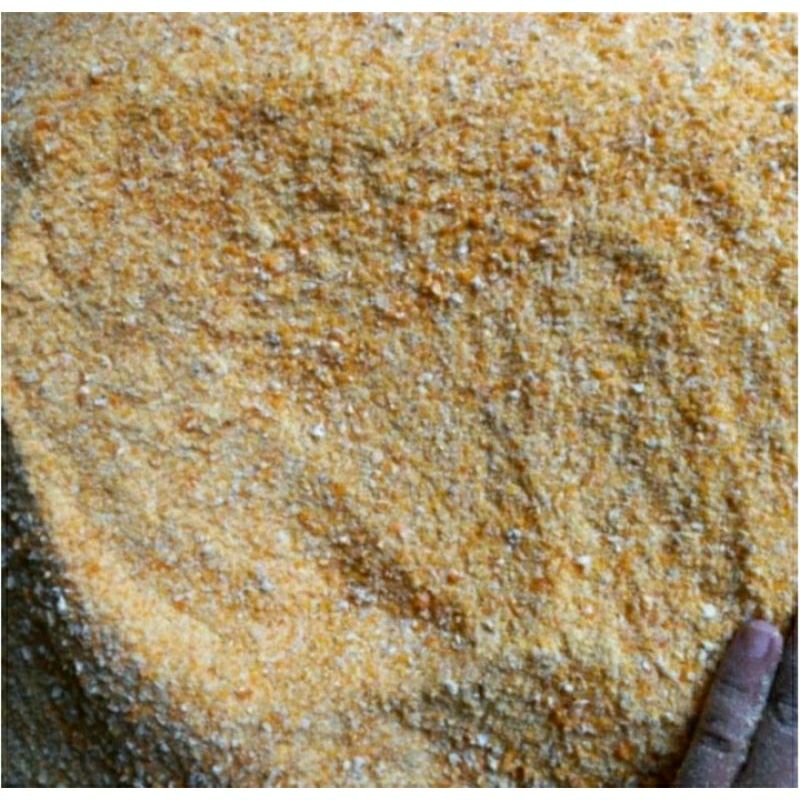 Jual Jagung Selep Giling Halus Kasar Pakan Unggas Ternak/Hewan Ternak ...