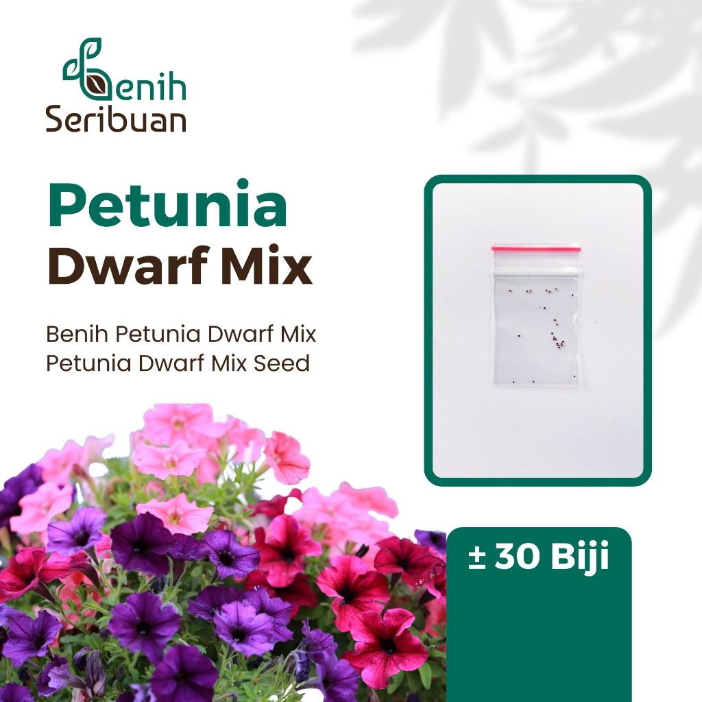 Jual 30 Benih Bibit Petunia Benih Bunga Petunia Dwarf Mix Import ...