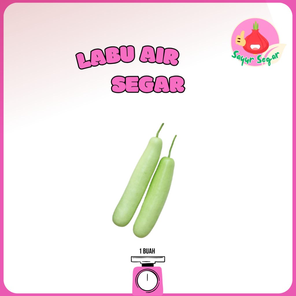 Jual Sayur Segar - Labu Air Panjang Segar 1 Buah / Long Bottle Gourd ...