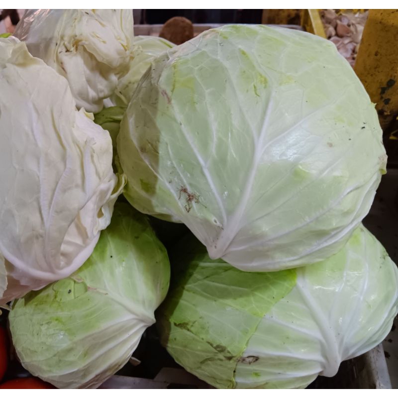 Jual kol putih 500gr | Shopee Indonesia