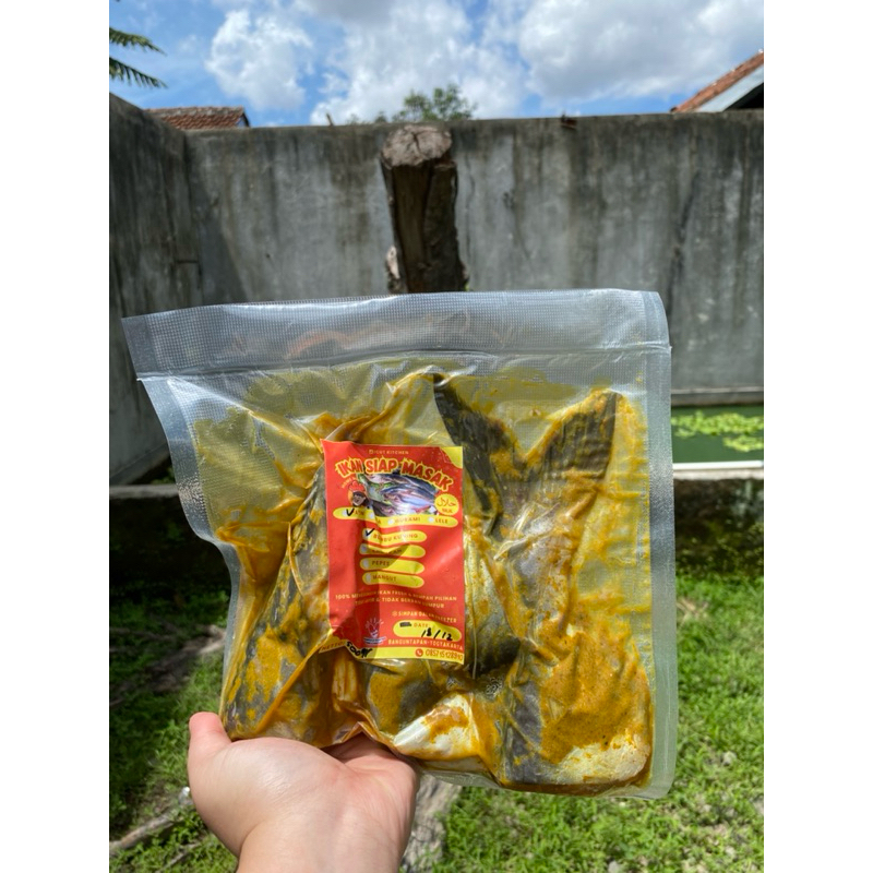 Jual Patin Frozen Fresh Bumbu Kuning siap goreng | Shopee Indonesia