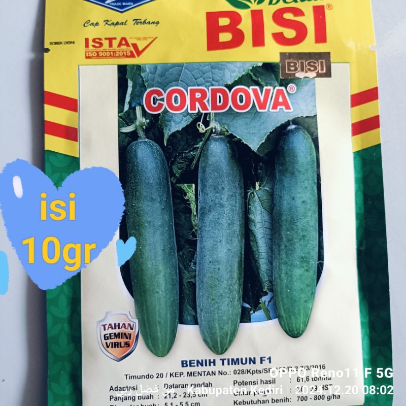 Jual Benih Timun CORDOVA F1 kemasan 10gr. exp 29-01-26. | Shopee Indonesia