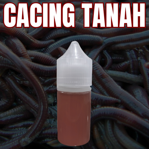 Jual ESSEN BIANG REBELLION AROMA CACING TANAH untuk umpan ikan | Shopee ...