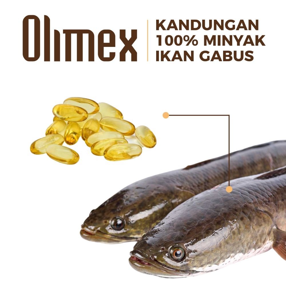 Jual Kapsul Kutuk Albumin Ikan Gabus Murni Obat Pengering Luka Pasca Operasi Caesar Dan Luka ...