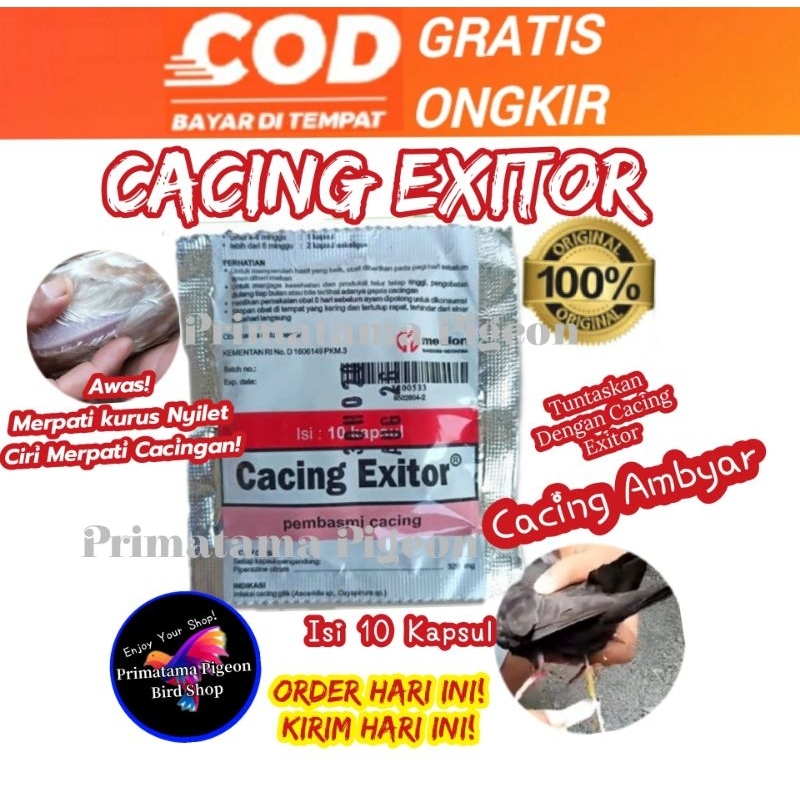 Jual OBAT CACING BURUNG CACING EXITOR ISI 10 KAPSUL OBAT BURUNG MERPATI ...