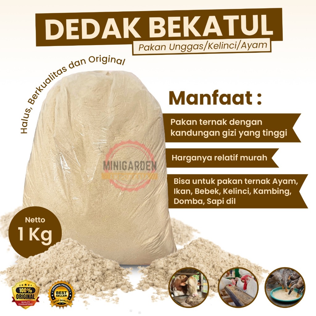 Jual DEDAK BEKATUL 1KG pakan ayam dedak padi halus pakan ternak ...