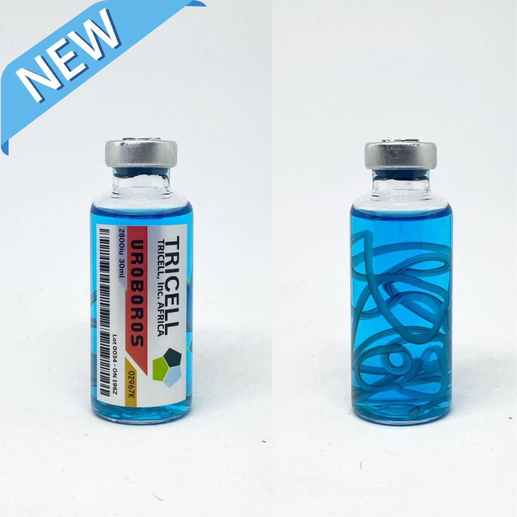 Jual Uroboros Resident Evil RE Umbrella Corp Props | Shopee Indonesia