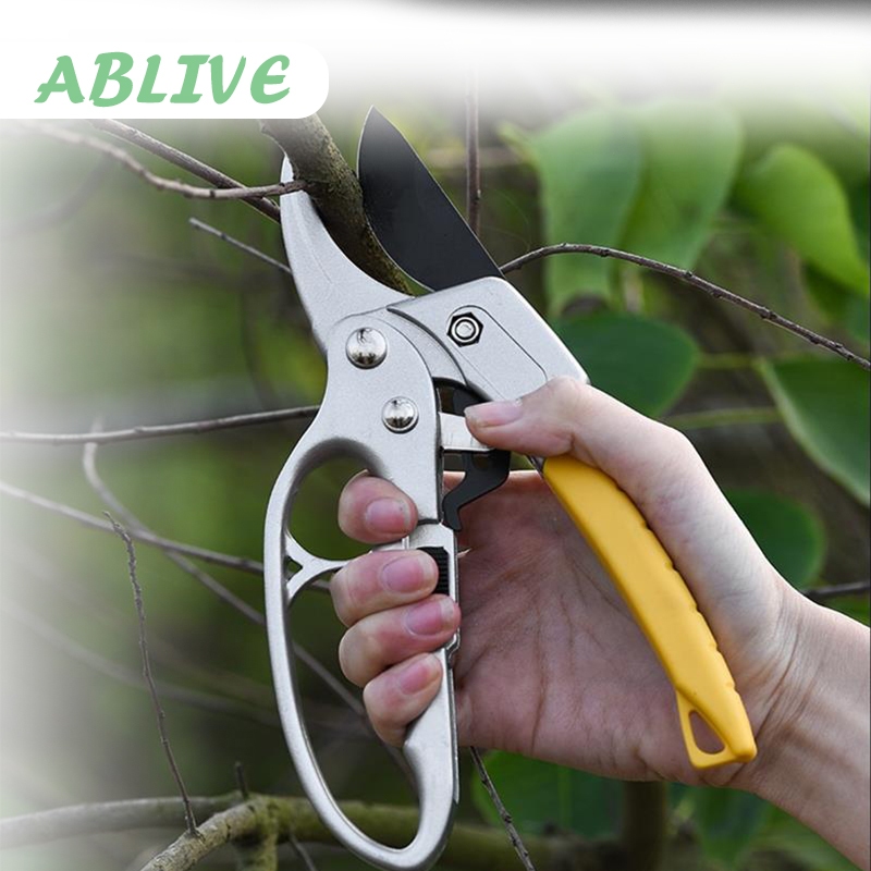 Jual Pruning Shears Gunting Ranting Pohon Gunting Dahan Ranting Alat ...