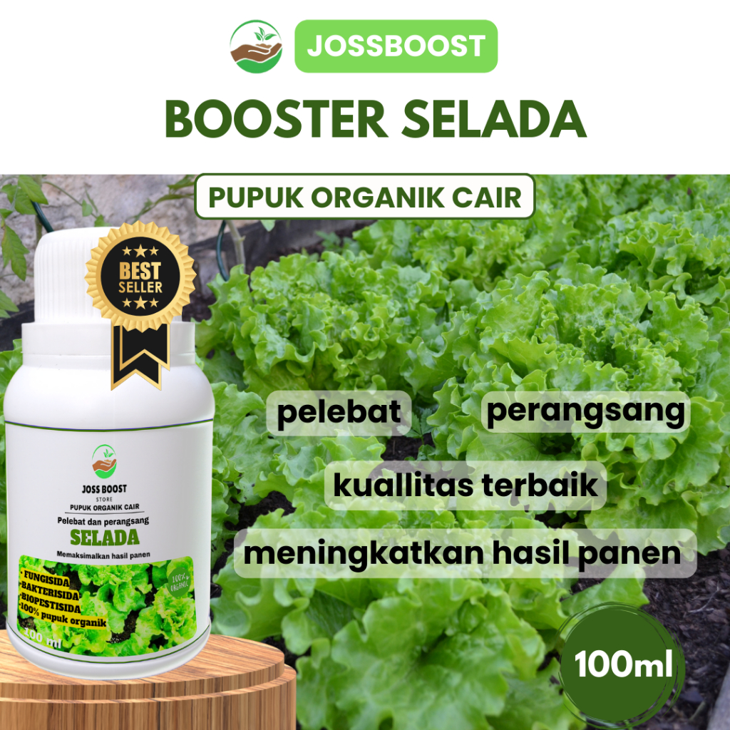 Jual JOSSBOOST pupuk Selada 100ml pupuk organik cair SELADA booster SELADA melebatkan dan ...