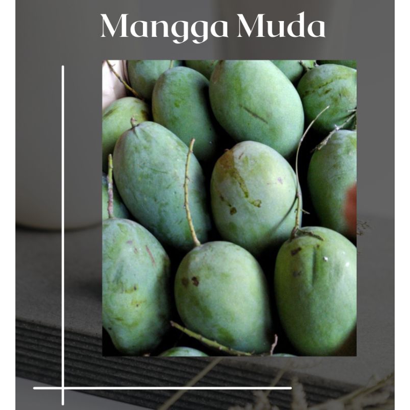Jual Buah mangga muda buat rujak 1kg | Shopee Indonesia