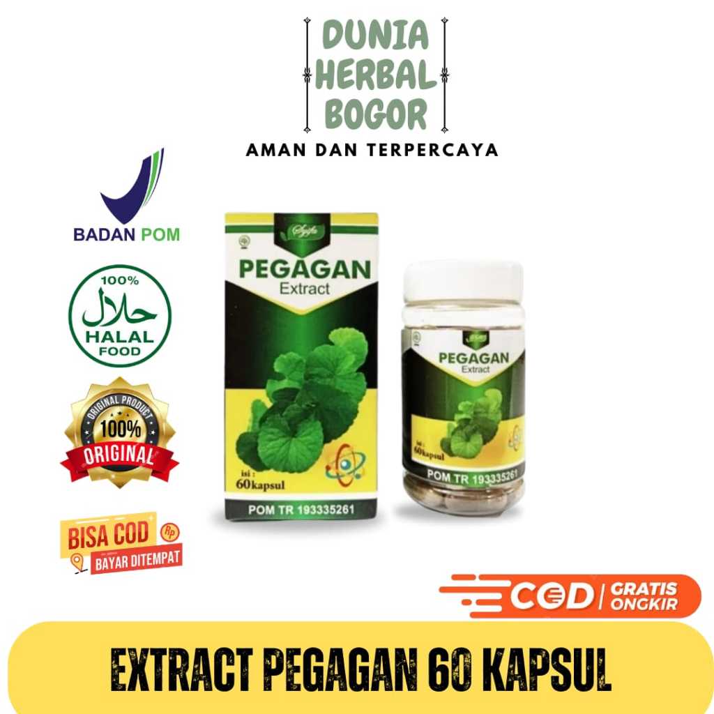Jual Kapsu Pegagan Ekstrak 60 kapsul Nutrisi Otak & Sirkulasi Bersih Darah - Extract Daun ...