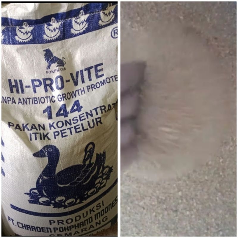 Jual Hi pro vite 144 konsentrat itik petelur pakan campuran unggas petelur 500gram | Shopee ...
