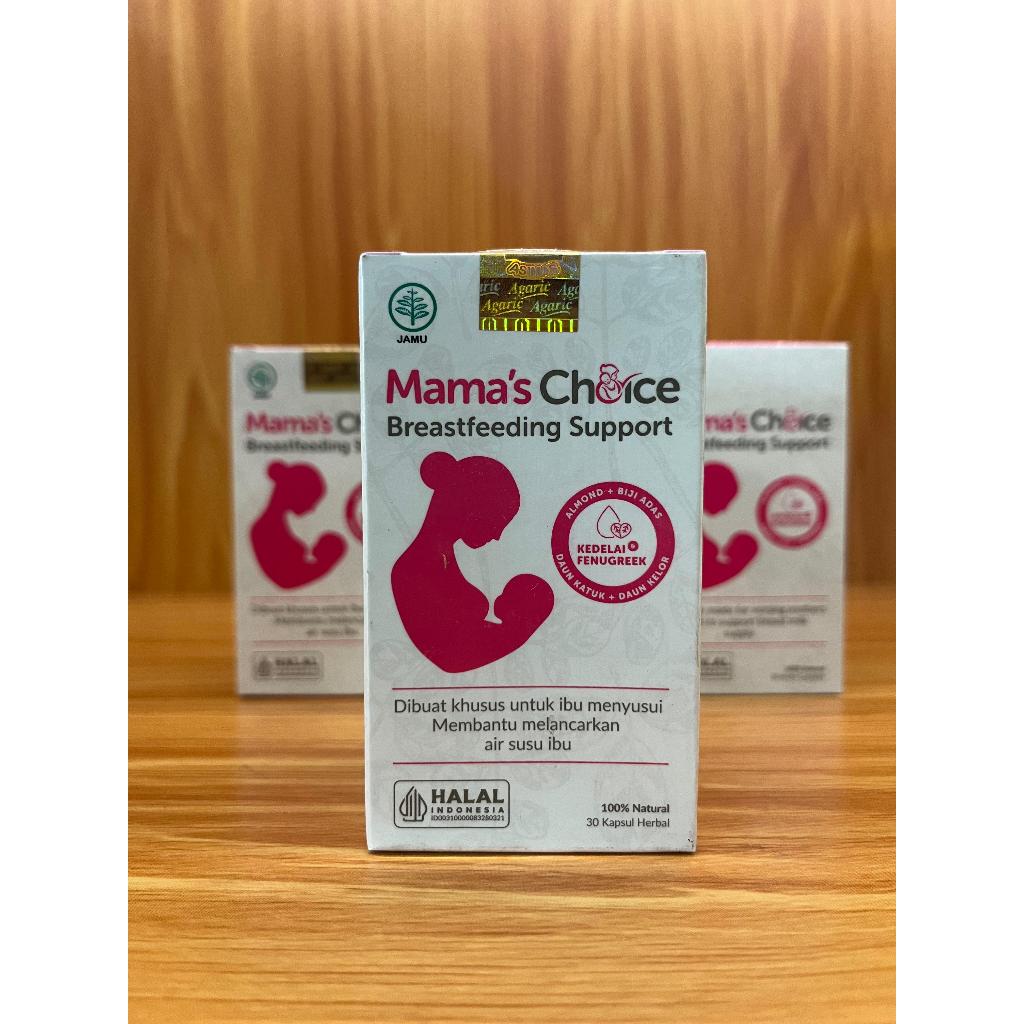 Jual Mama's Choice Breastfeeding Support - Supplement ASI | Shopee ...