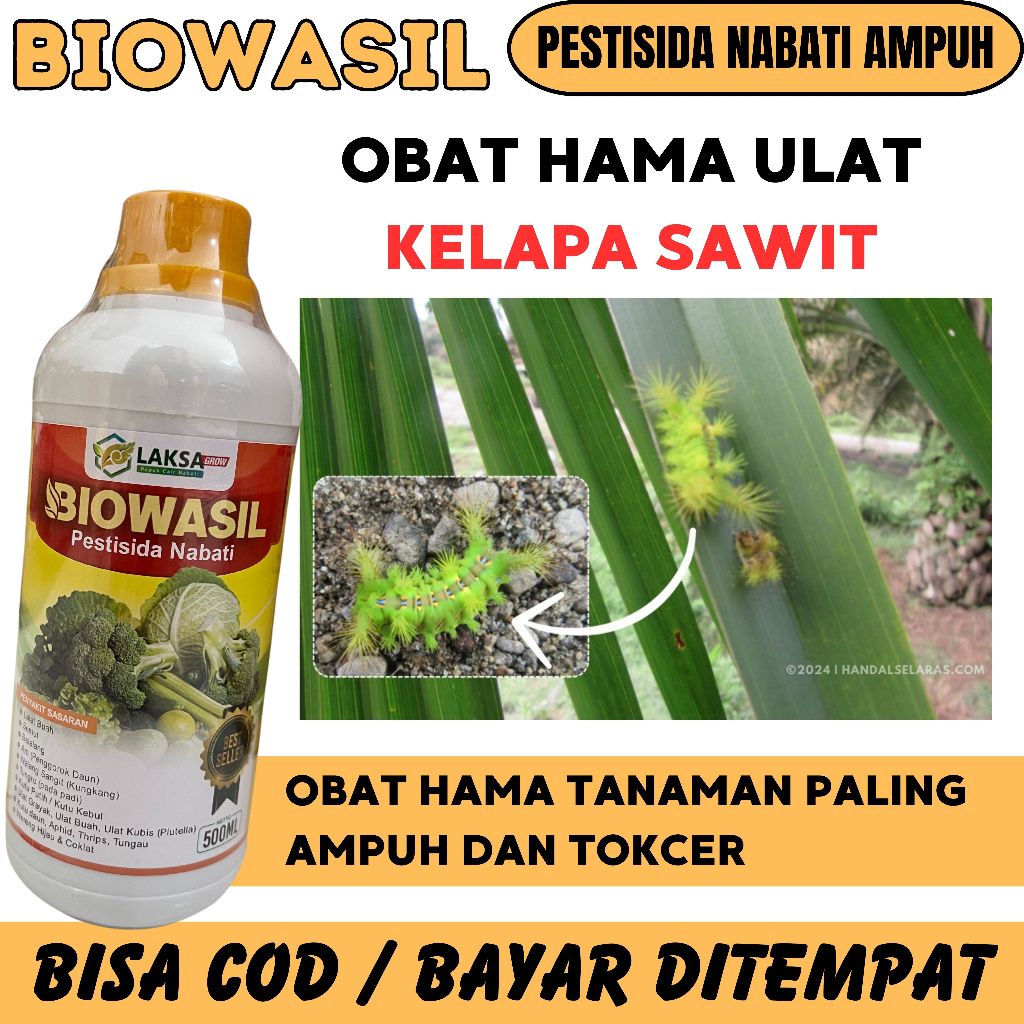 Jual Pembasmi Hama Ulat Kelapa Sawit Paling Ampuh BIOWASIL 500 ML Obat ...