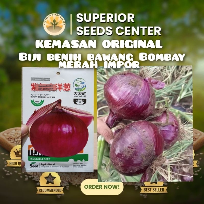 Jual KEMASAN ORIGINAL BIJI BENIH BAWANG BOMBAY MERAH JUMBO IMPOR ...