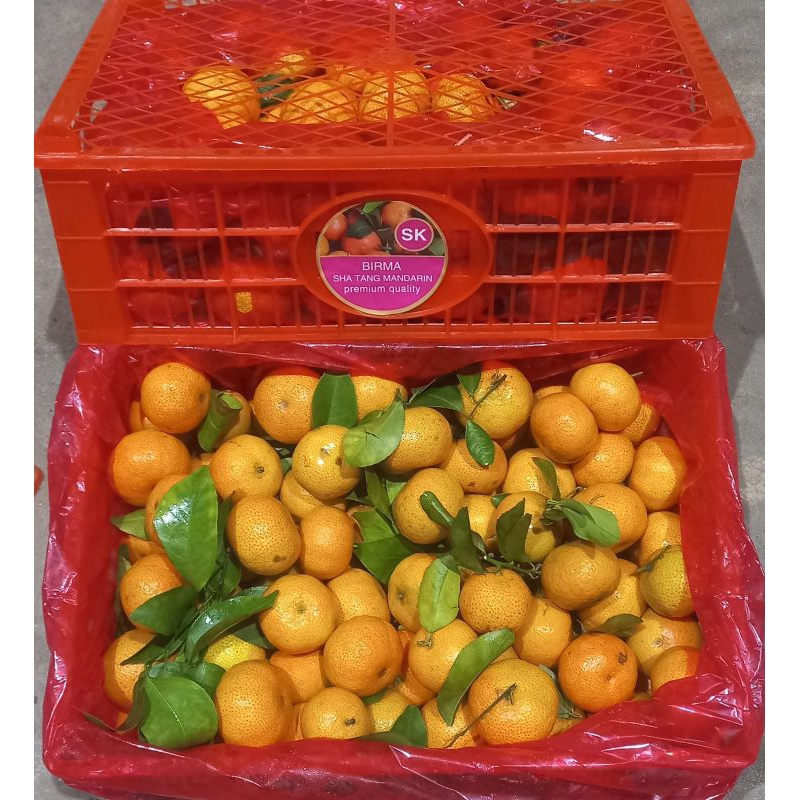 Jual jeruk shantang birma 1kg YUJI | Shopee Indonesia