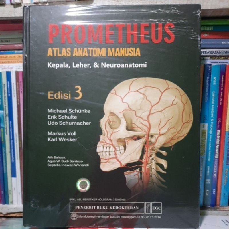 Jual ORIGINAL PROMETHEUS ATLAS ANATOMI MANUSIA KEPALA, LEHER & NEUROANATOMI EDISI 3 | Shopee ...