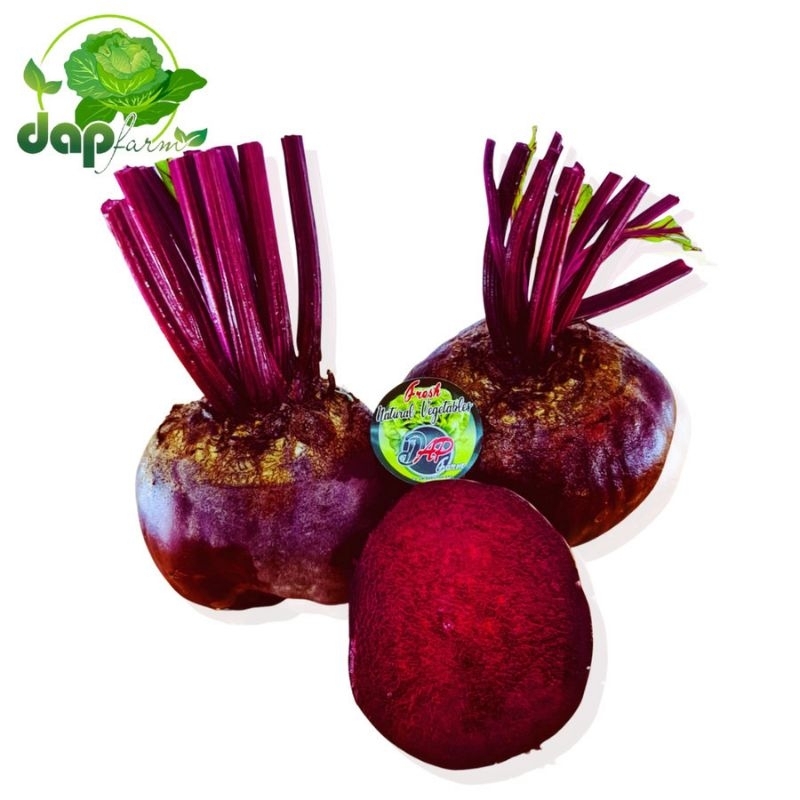 Jual Buah Beet Root/ Bit/DAP Farm/ Buah Segar Jakarta | Shopee Indonesia