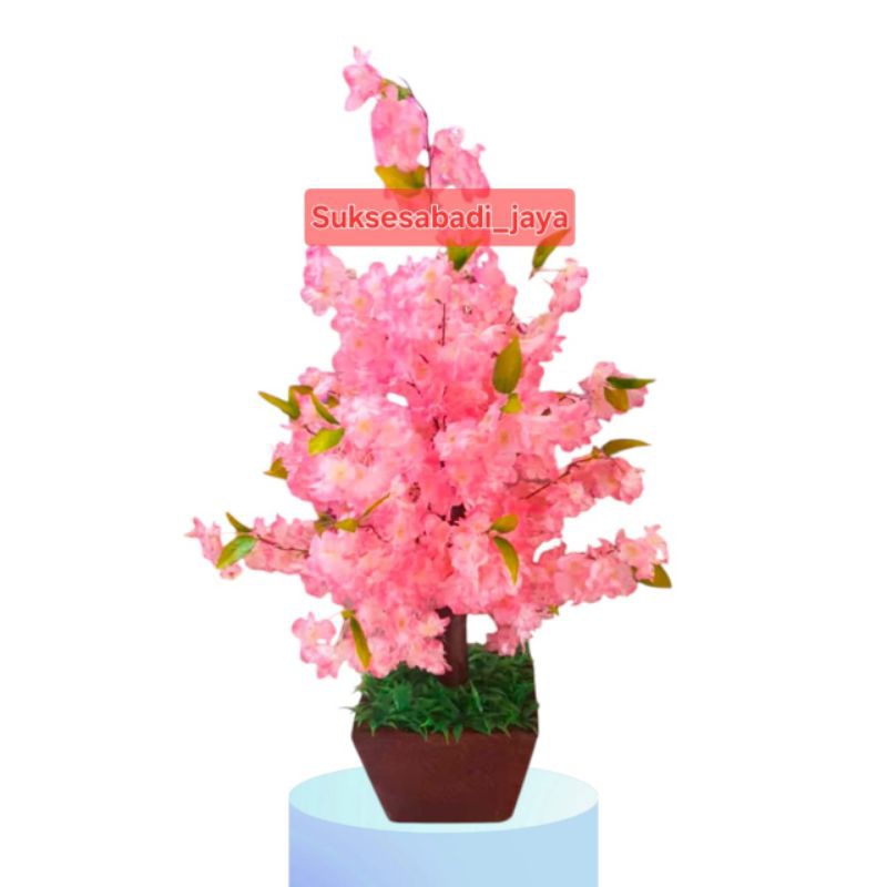 Jual Pohon IMLEK Meihua CHERRY BLOSSOM ukuran 60cm /Bunga CHERRY ...