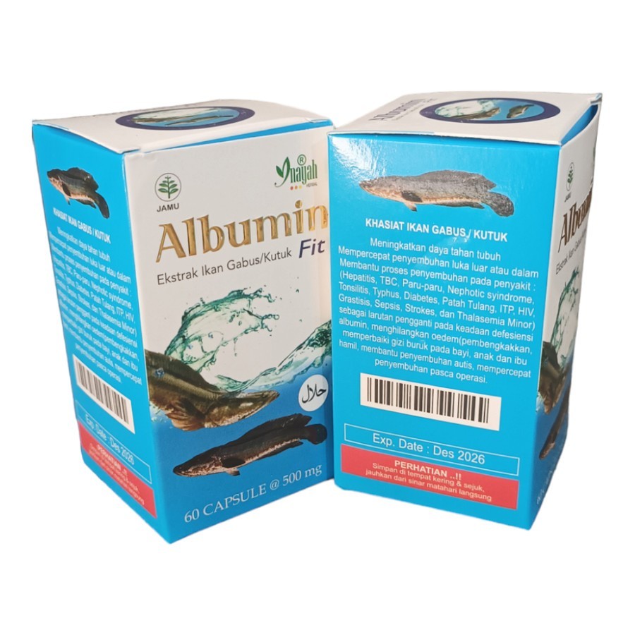 Jual Kapsul Albuminfit Ekstrak Ikan Gabus Pro Albumin/ kutuk 60 capsule | Shopee Indonesia