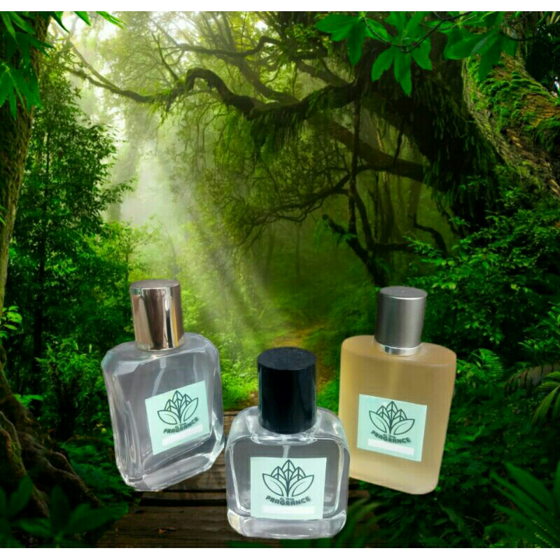 Jual PARFUM NON ALKOHOL (ANASUI DREAM) | Shopee Indonesia