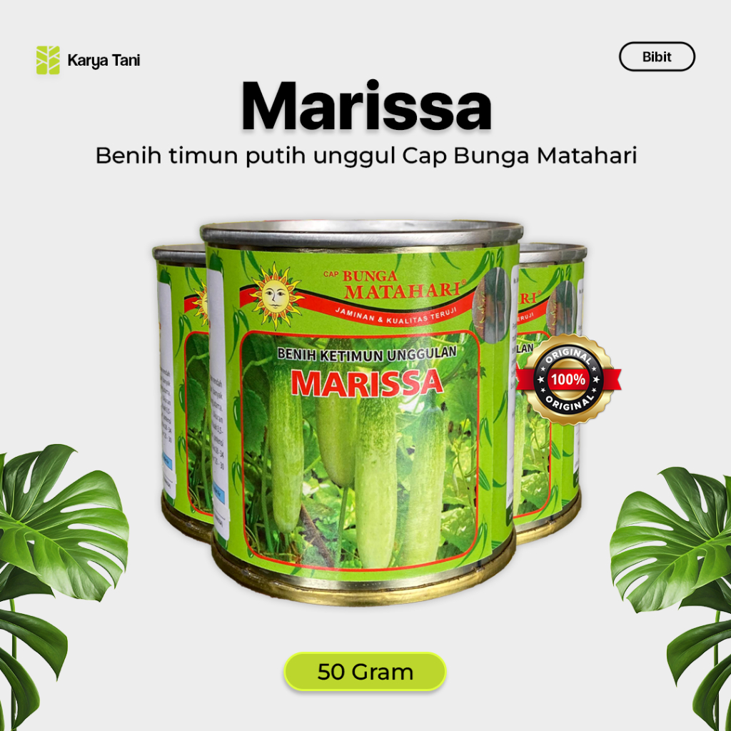 Jual Benih Timun Putih Marissa 50 gram Cap Bunga Matahari | Shopee ...
