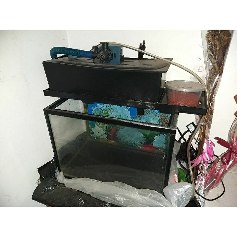 Jual Dijual murah 1 set akuarium ukuran M, termasuk pompa celup dan ...