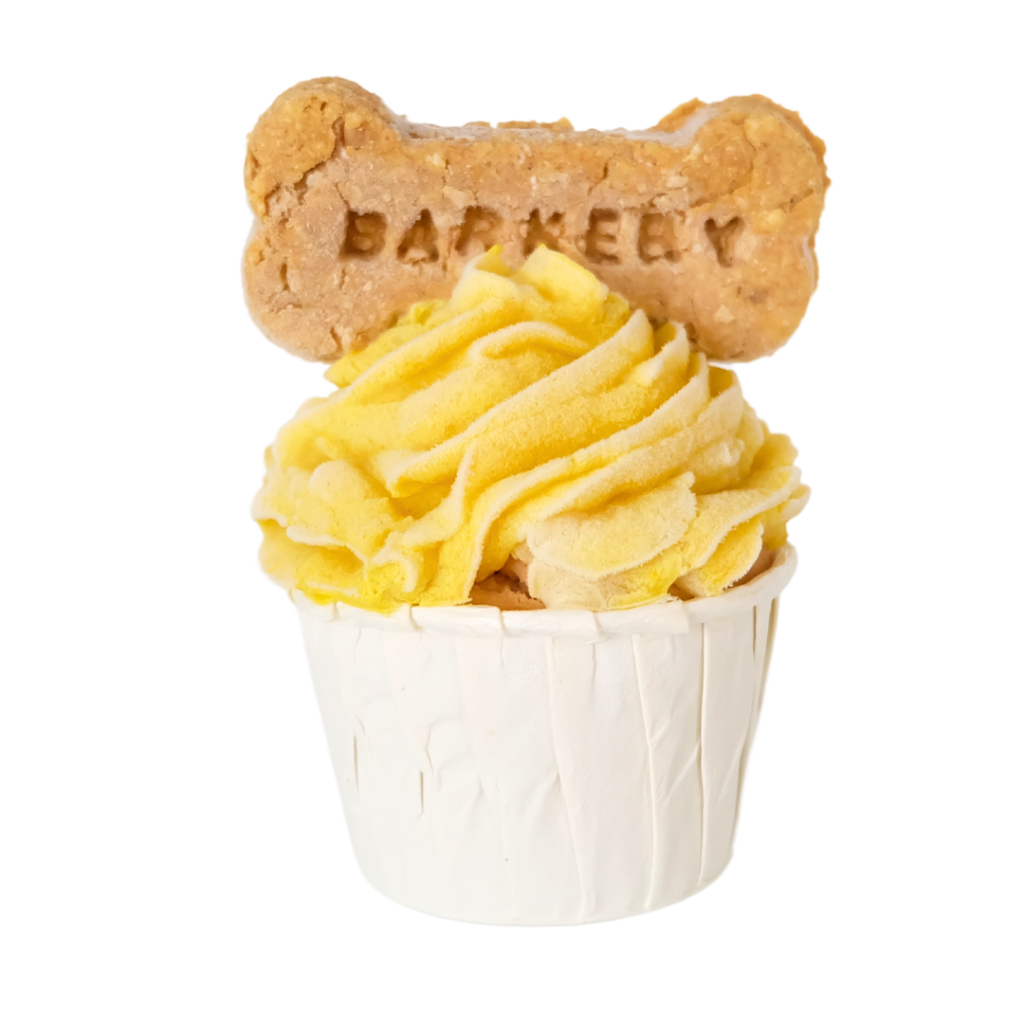 Jual Pupcake: Beef Pumpkin | Shopee Indonesia