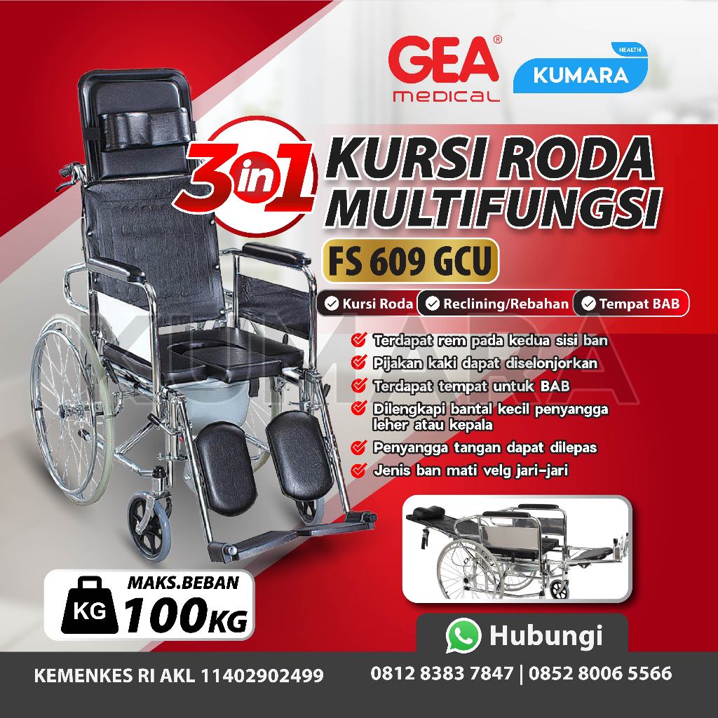 Jual GEA - Kursi Roda 3In1 FS 609 GCU / Kursi Roda Dengan Sandaran ...
