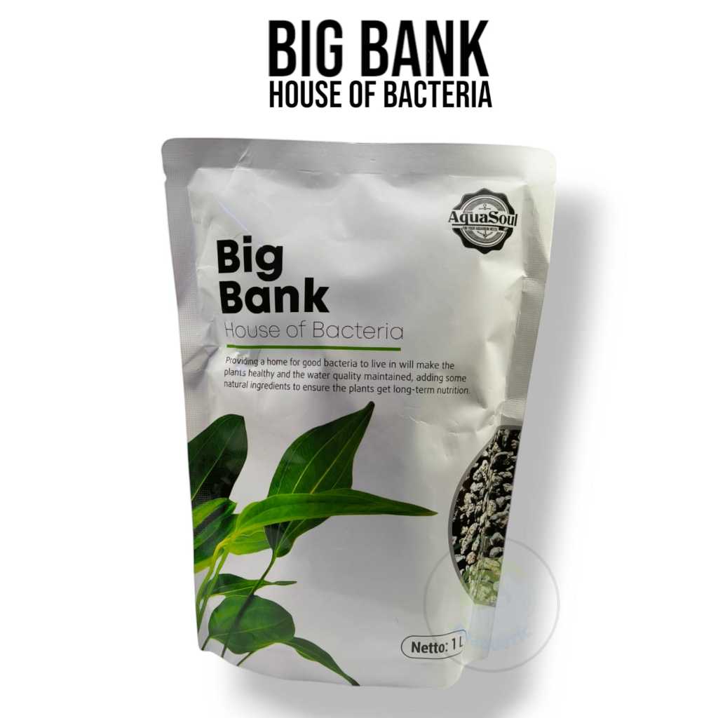 Jual Big Bank Bacteria | Rumah Bakteri Aquascape Aquarium 1L | Shopee ...