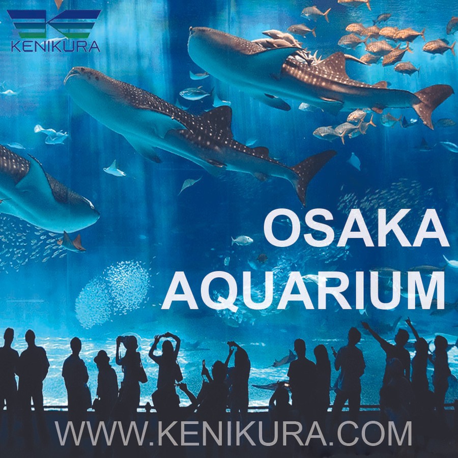 Jual Ticket Osaka Aquarium Kaiyukan Tiket Japan keiyukan Jepang Kenikura | Shopee Indonesia