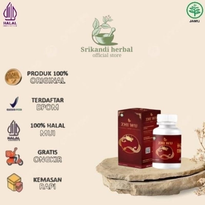 Jual Zhi wu asli obat asam urat rematik terbaik original | Shopee Indonesia