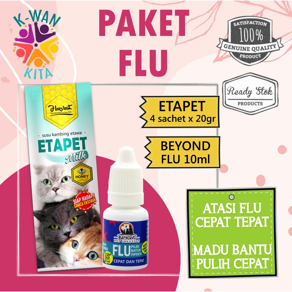 Jual Paket Flu Etapet Madu 4 sachet Obat Pilek Batuk Infeksi Paru Sesak ...