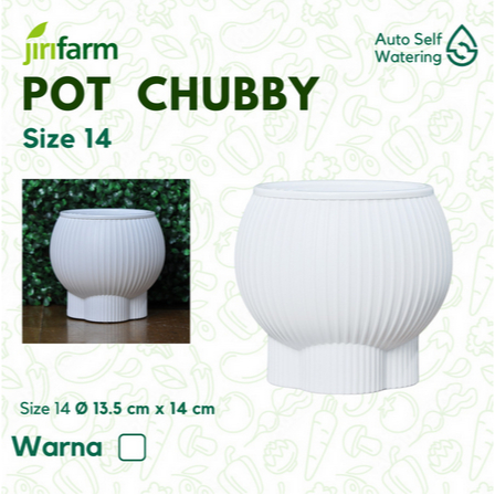 Jual JIRIFARM - Pot Bunga Chubby Size 14 Diameter 13 - Tanaman Hias ...
