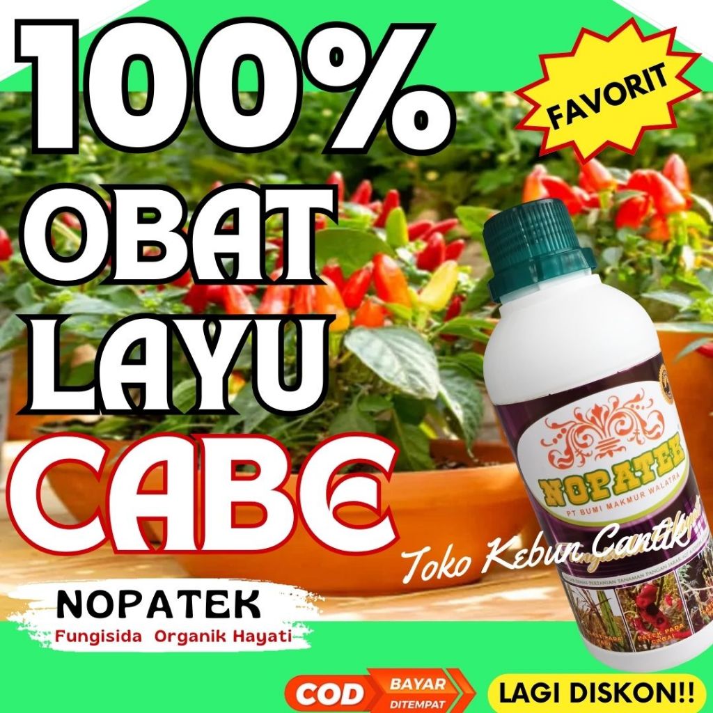 Jual MUJARAB Obat Layu Fusarium Cabai NOPATEK – Fungisida Hayati ...