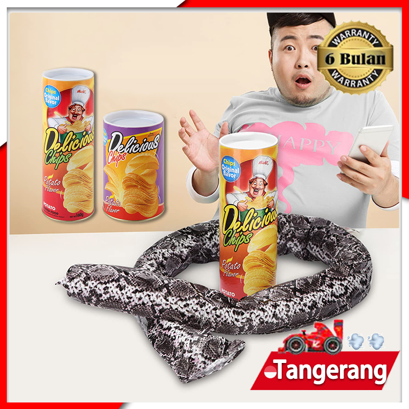 Jual Snake Potato Chip Bouncing Snake Prank Toys April Mop Day Alat ...