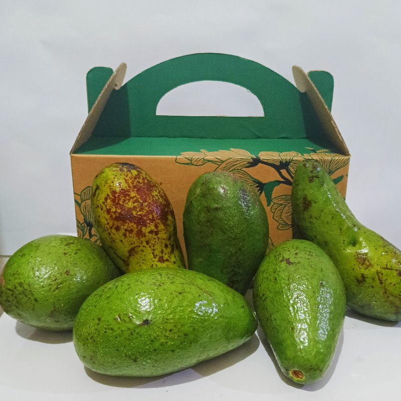 Jual Alpukat Mentega Paket 3kg Butter Avocado + Kardus Parcel Box ...