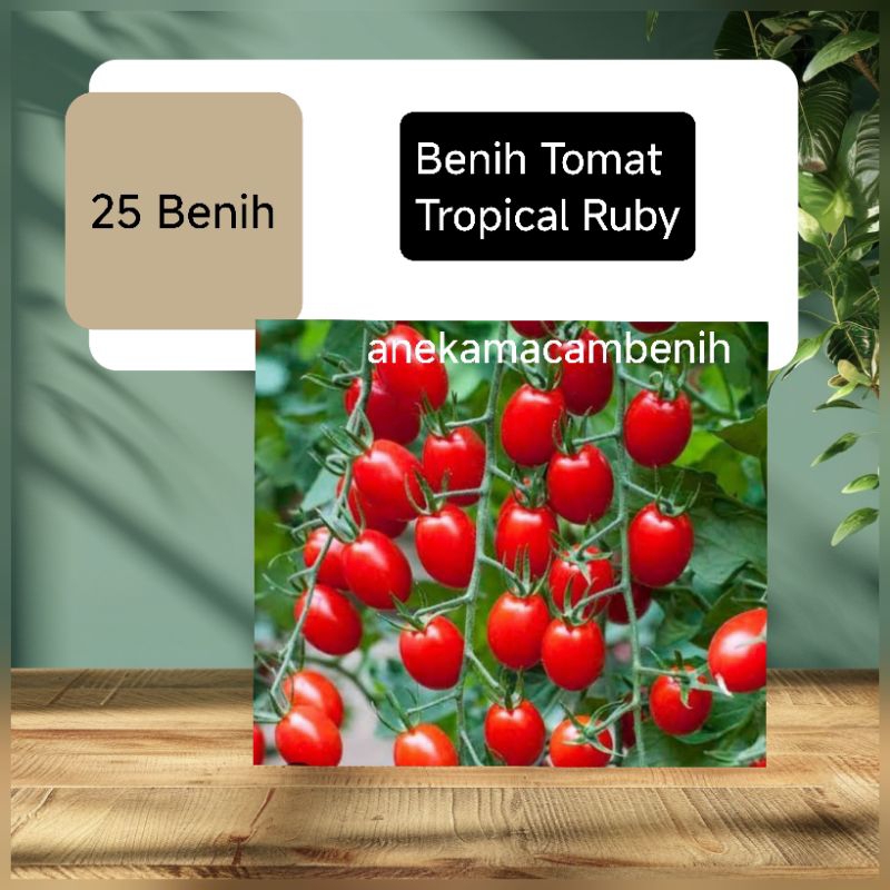 Jual Benih Tomat Tropical Red Ruby F1 Manis (25 bibit) | Shopee Indonesia