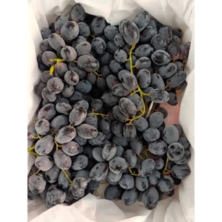 Jual Anggur 1 Kg Terlengkap & Harga Terbaru Desember 2025 | Shopee ...