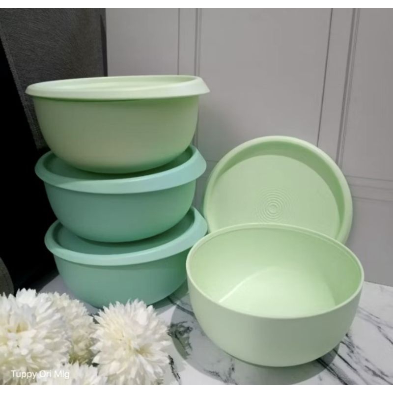 Jual Original Tupperware 100% vivid bowl (4pcs) | Shopee Indonesia